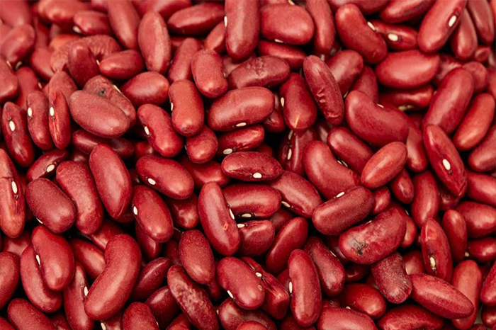 Monarch Commodities – Import Export Business