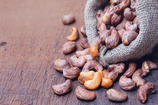 Monarch Commodities – Import Export Business