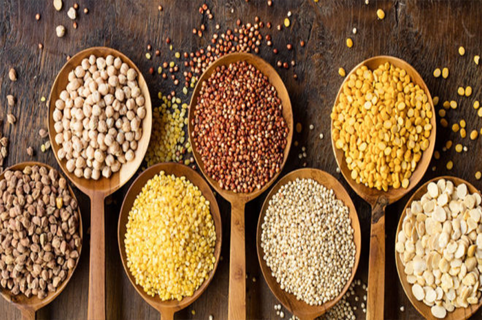 Monarch Commodities – Import Export Business