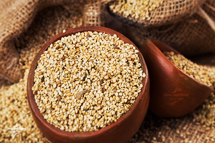 Monarch Commodities – Import Export Business