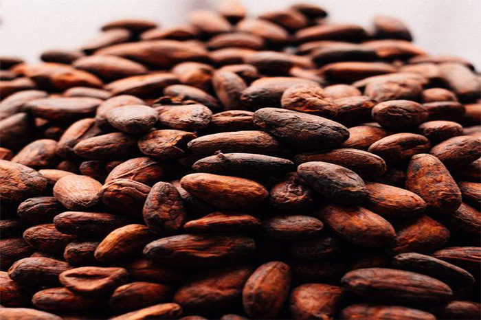Monarch Commodities – Import Export Business